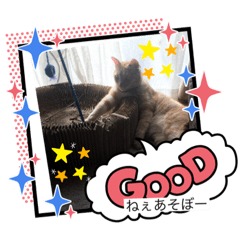 mira kin_20201030160031 | Yabe-LINE貼圖代購 | 台灣No.1，最便宜高效率的代購網