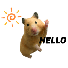 HELLO MUMU BABE - Stiker LINE | LINE STORE