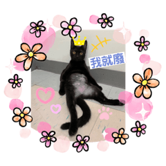 Mi.dou.nai_20201118003843 - LINE スタンプ | LINE STORE