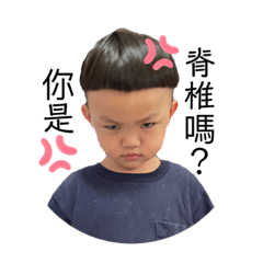 wangyan – LINE貼圖 | LINE STORE