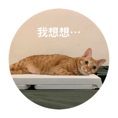 Mitter_Lu_20201128031416 – LINE stickers | LINE STORE