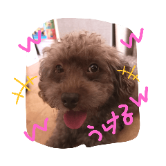 kuu_20201204054933 - Stiker LINE | LINE STORE