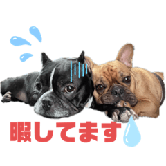 MARI_20201204150111 – LINE stickers | LINE STORE