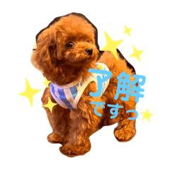 riolu_20201218212724 – LINE stickers | LINE STORE