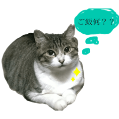 kuu_20201219195053 – LINE stickers | LINE STORE