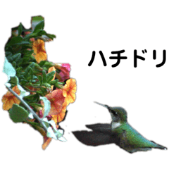 Kappa_20201222192032 – LINE stickers | LINE STORE