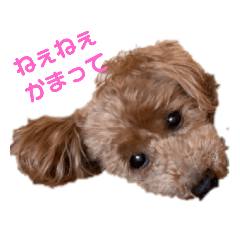 moe_20201224171657 – Stickers LINE | LINE STORE