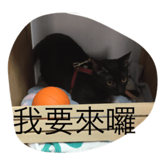 Sheena_20201225204748 – LINE stickers | LINE STORE