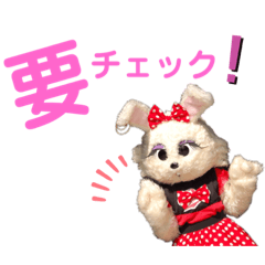 Catherine Rabbit_20201231023418 – LINE stickers | LINE STORE