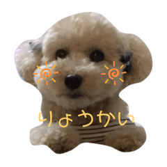 emi_20201231214042 – LINE stickers | LINE STORE
