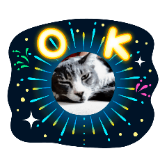 inca_20210103112753 - Stiker LINE | LINE STORE