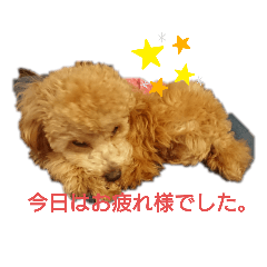 saki_20210104225909 – LINE stickers | LINE STORE