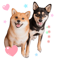 Gui Fei & Niang Niang – LINE stickers | LINE STORE