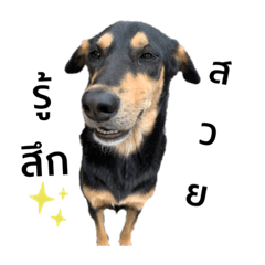 lookai and friends – LINE stickers | LINE STORE