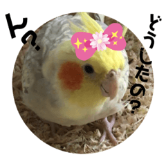 mari_20210110005844 – LINE stickers | LINE STORE