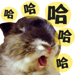 OH!CHARLIE – Stickers LINE | LINE STORE