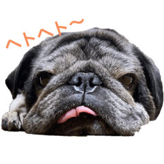putiki_20210116173838 – LINE貼圖 | LINE STORE
