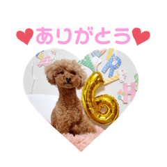 Yuri_20210117224101 – LINE stickers | LINE STORE
