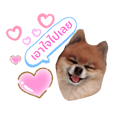 Chok_20210117131740 – LINE stickers | LINE STORE