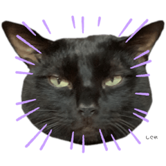 Moke_20210122215632 – LINE stickers | LINE STORE