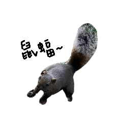 YBAB and Tan daju – LINE stickers | LINE STORE