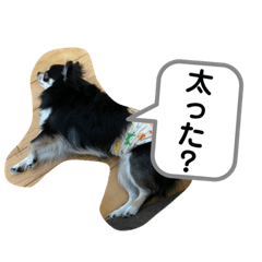 mari_202101252345167 - Stiker LINE | LINE STORE