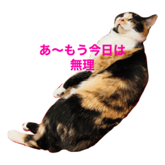 NOA_20210128121710 - Stiker LINE | LINE STORE