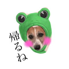 obachan_20210127232210 – LINE貼圖 | LINE STORE