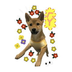 Stephanie_20210128030143 – LINE stickers | LINE STORE