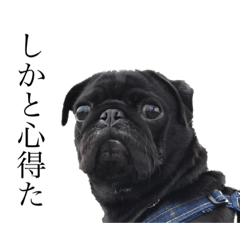 Witto_20210128152340 – LINE stickers | LINE STORE