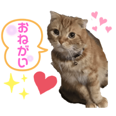 meron_goku | Yabe-LINE貼圖代購 | 台灣No.1，最便宜高效率的代購網