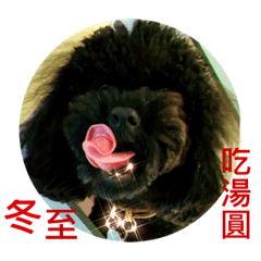 Kimberly Liu_20210202005342 – LINE stickers | LINE STORE