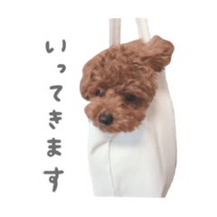 puu stickers – LINE 스티커 | LINE STORE