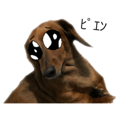 ranmar_20210204190414 – LINE stickers | LINE STORE