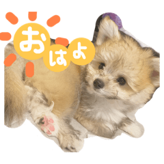 mei_20210209132939 – LINE stickers | LINE STORE
