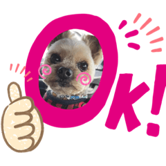 kuu stamp 2 – LINE stickers | LINE STORE