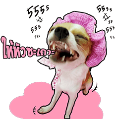 Puppy Munny – Stickers LINE | LINE STORE