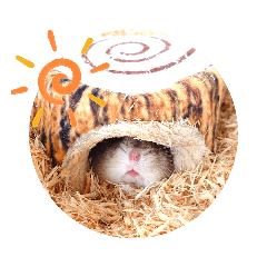 maruchan_20210222105131 – LINE stickers | LINE STORE