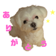 pisupisu_20210222134739 - Stiker LINE | LINE STORE