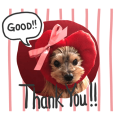 YURI_20210222123142 – LINE stickers | LINE STORE