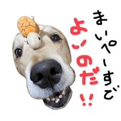 puko_20210303115958 – สติกเกอร์ LINE | LINE STORE