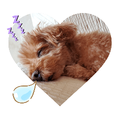 kana_20210303235617 – LINE stickers | LINE STORE