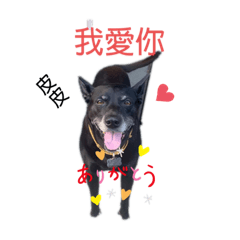 SHU TING at home_20210305092112 – LINE stickers | LINE STORE
