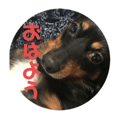 Ayaaa's__pon_20210305140822 - Stiker LINE | LINE STORE