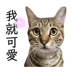 MaWho First-season – LINE stickers | LINE STORE