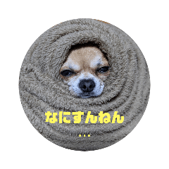 issi_20210308221231 – LINE stickers | LINE STORE