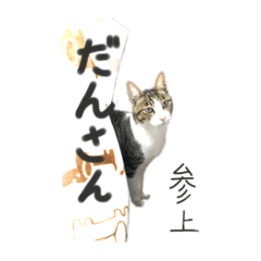 Our cat Dango – Stickers LINE | LINE STORE