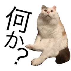 suke_20210313140358 – LINE stickers | LINE STORE