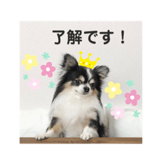 kana_20210315224927 – LINE stickers | LINE STORE
