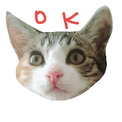 rowa stamp – Stickers LINE | LINE STORE